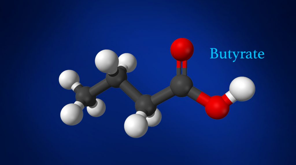 Taking a look at short chain fatty acid (SCFA) butyrate | Microba