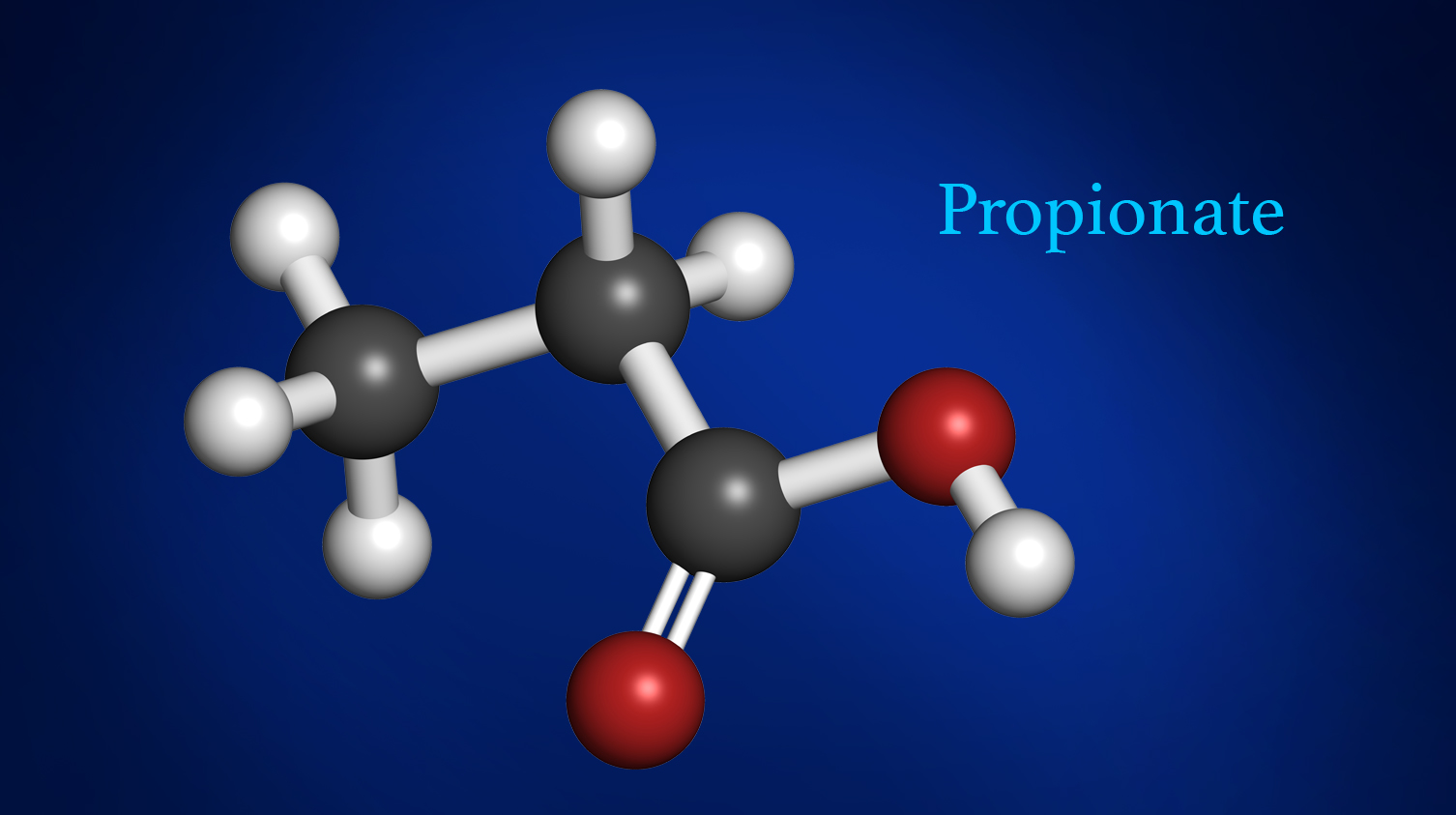 Meet propionate: a Short Chain Fatty Acid | Microba