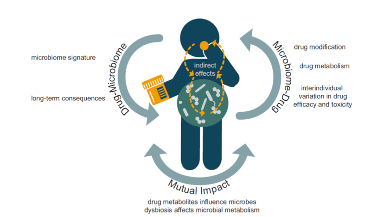 Medications and the gut microbiome: Much more than just antibiotics ...