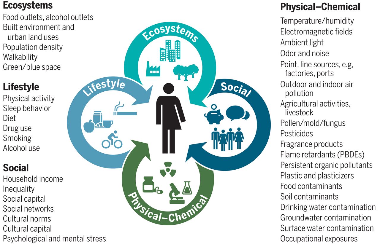 Gut reaction: How living environment affects the microbiome | Microba